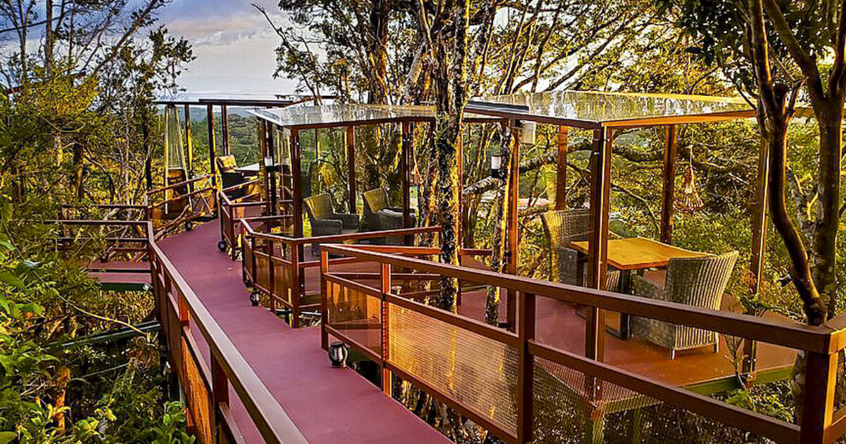 San Lucas Treetop Dining Experience | Monteverde