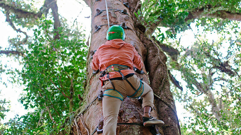 Discover Tours by Adventure Tour Costa Rica