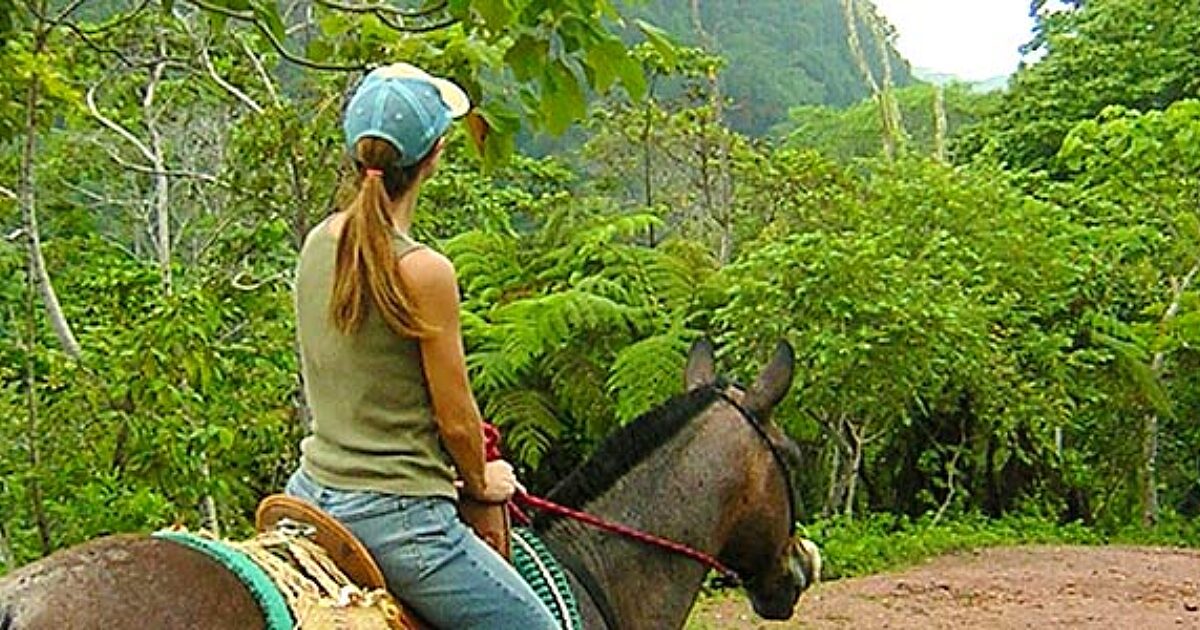 Horseback Waterfall Tours: A Waterfall Worth Chasing