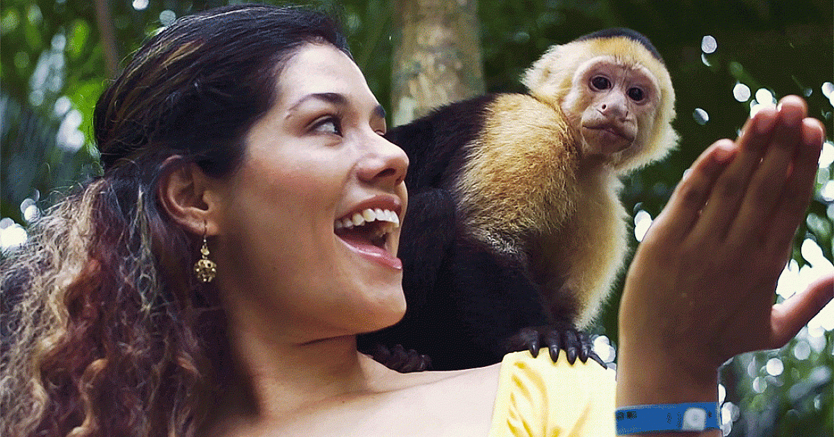 Costa Rica Monkey Tours | Jaco & Los Suenos Costa Rica