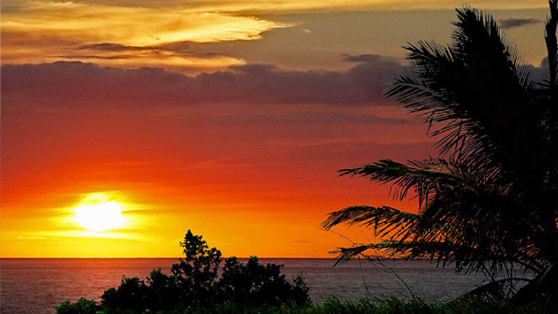 Discover Tours by Adventure Tour Costa Rica